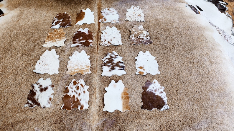 Real Cowhide Coasters Brown & White Mini Cowhide Coasters Leather Table ...
