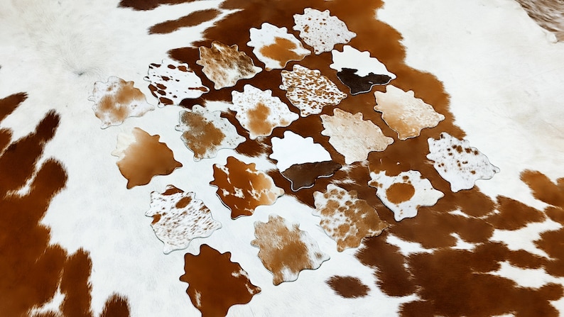 Real Cowhide Coasters Brown & White Mini Cowhide Coasters Leather Table ...