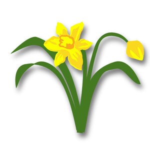 Layered Daffodil SVG, Floral, Spring, Digital Cutting File, Die Cutting ...