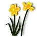 Layered Daffodil SVG, Digital Cutting File, Floral, Jpg Dxf Eps Pdf Png ...
