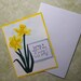 Layered Daffodil SVG, Digital Cutting File, Floral, Jpg Dxf Eps Pdf Png ...
