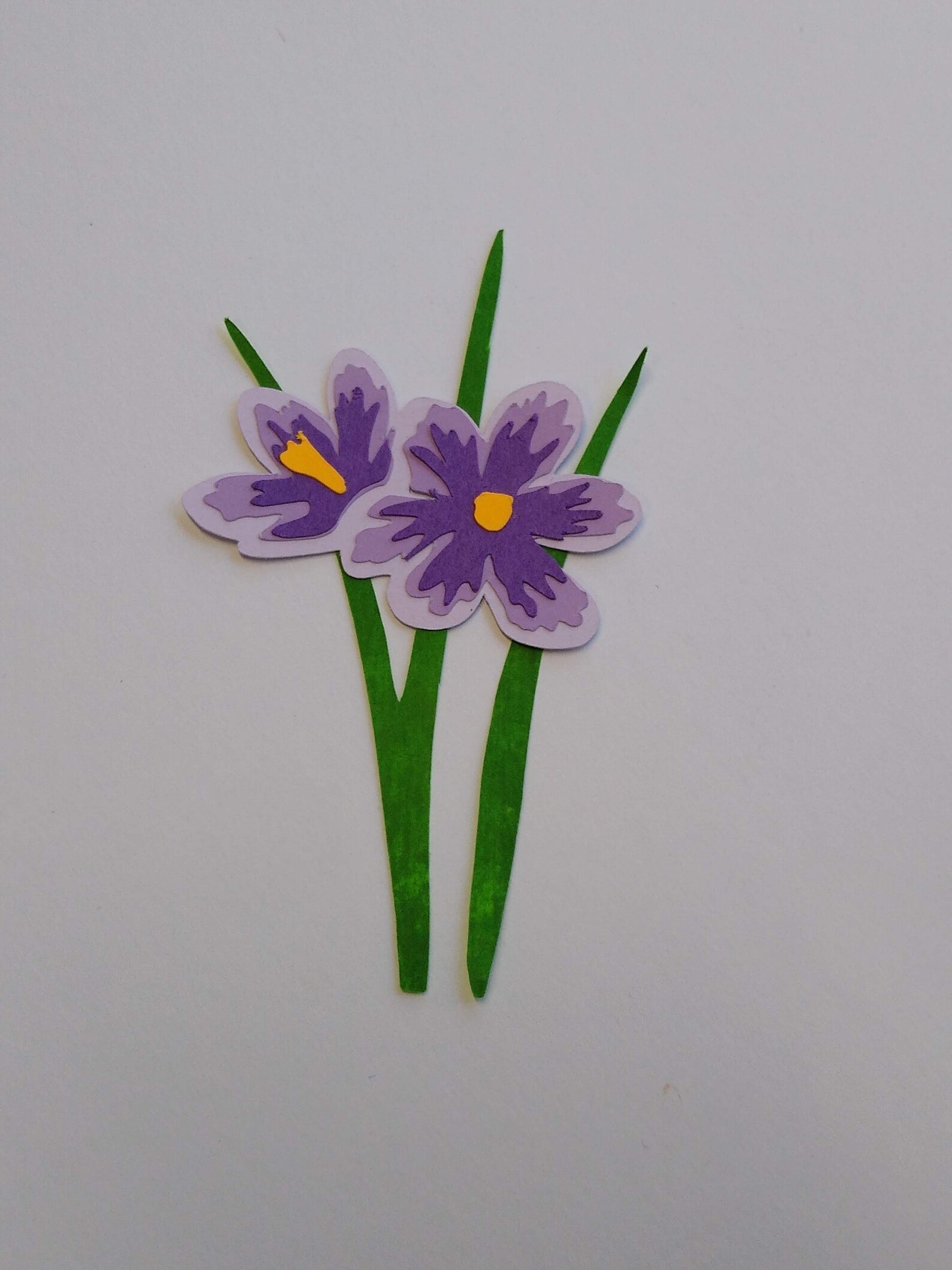 Layered Crocus Bouquet SVG, Floral Cutting File for Cutting Machines ...
