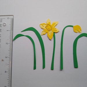 Layered Daffodil SVG, Floral, Spring, Digital Cutting File, Die Cutting ...
