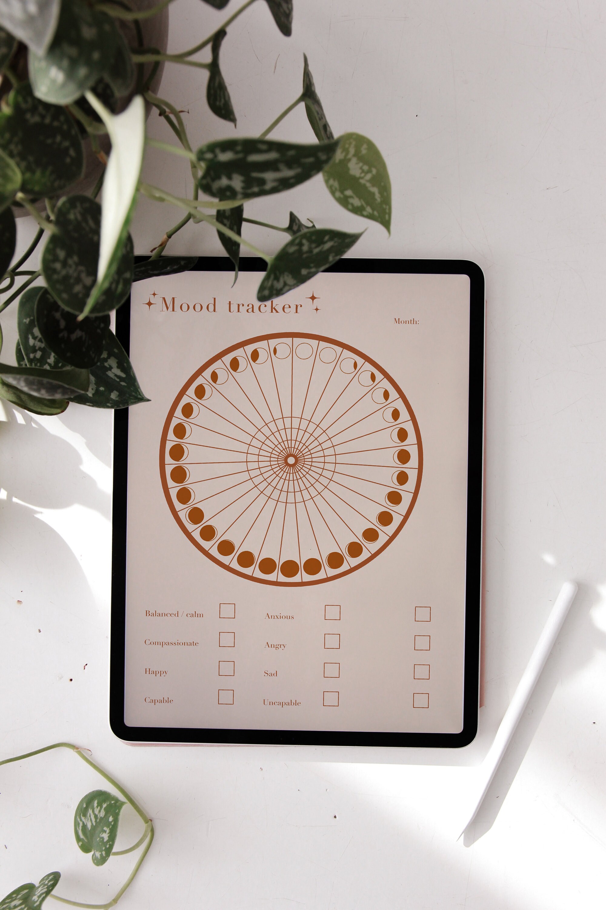 Mood Tracker, Pdf Moon Tracker, Mood Tracker Ipad, Period Tracker, Mood ...