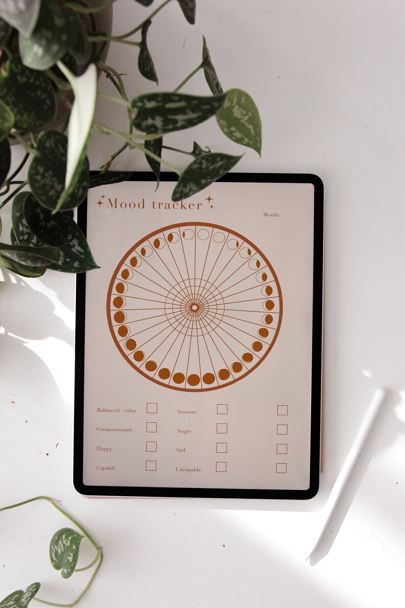 Coonect With the Moon, Moon Calendar 2023 Moon Chart/ Mood Tracker ...