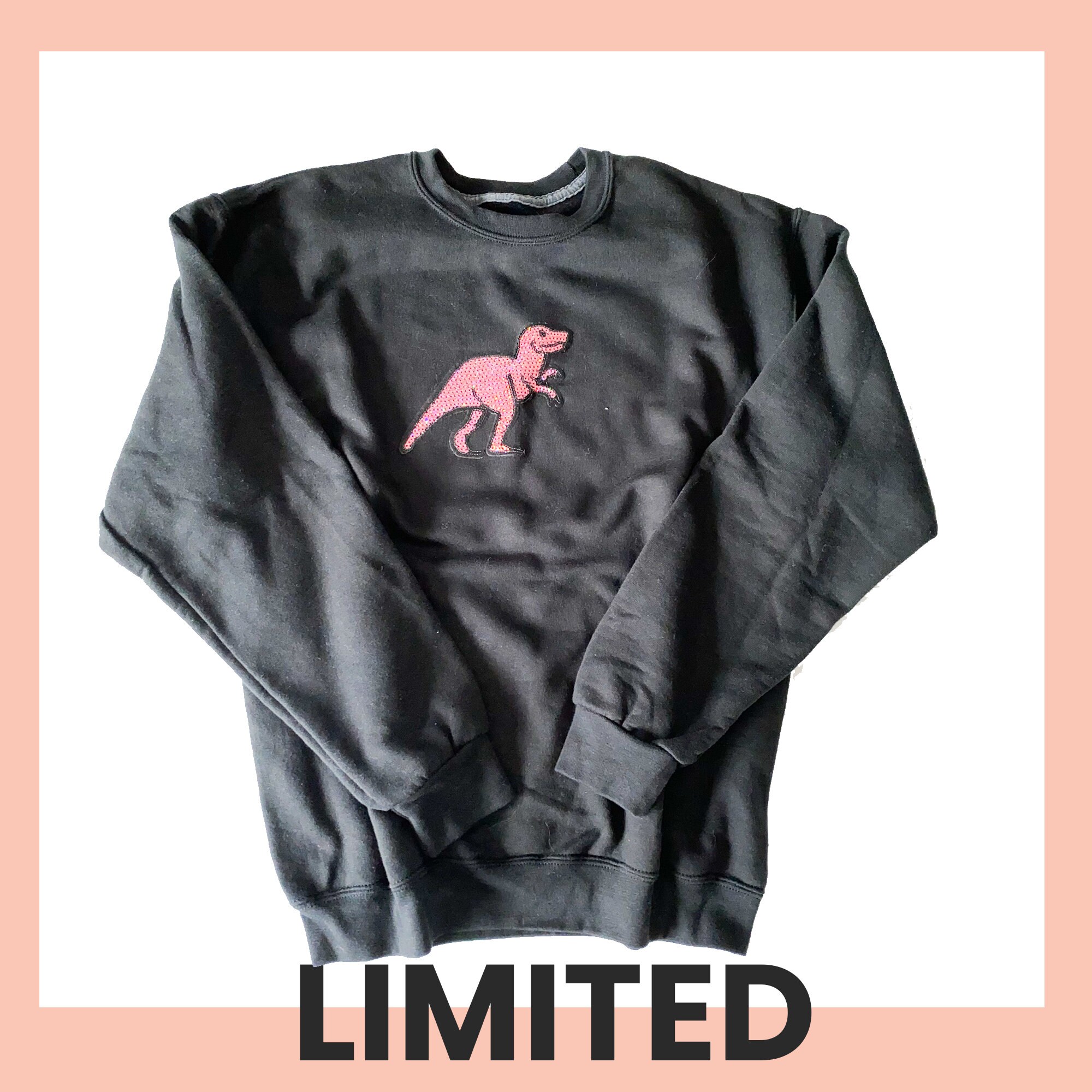 Sequin T-rex Dinosaur Sweatshirt - Etsy