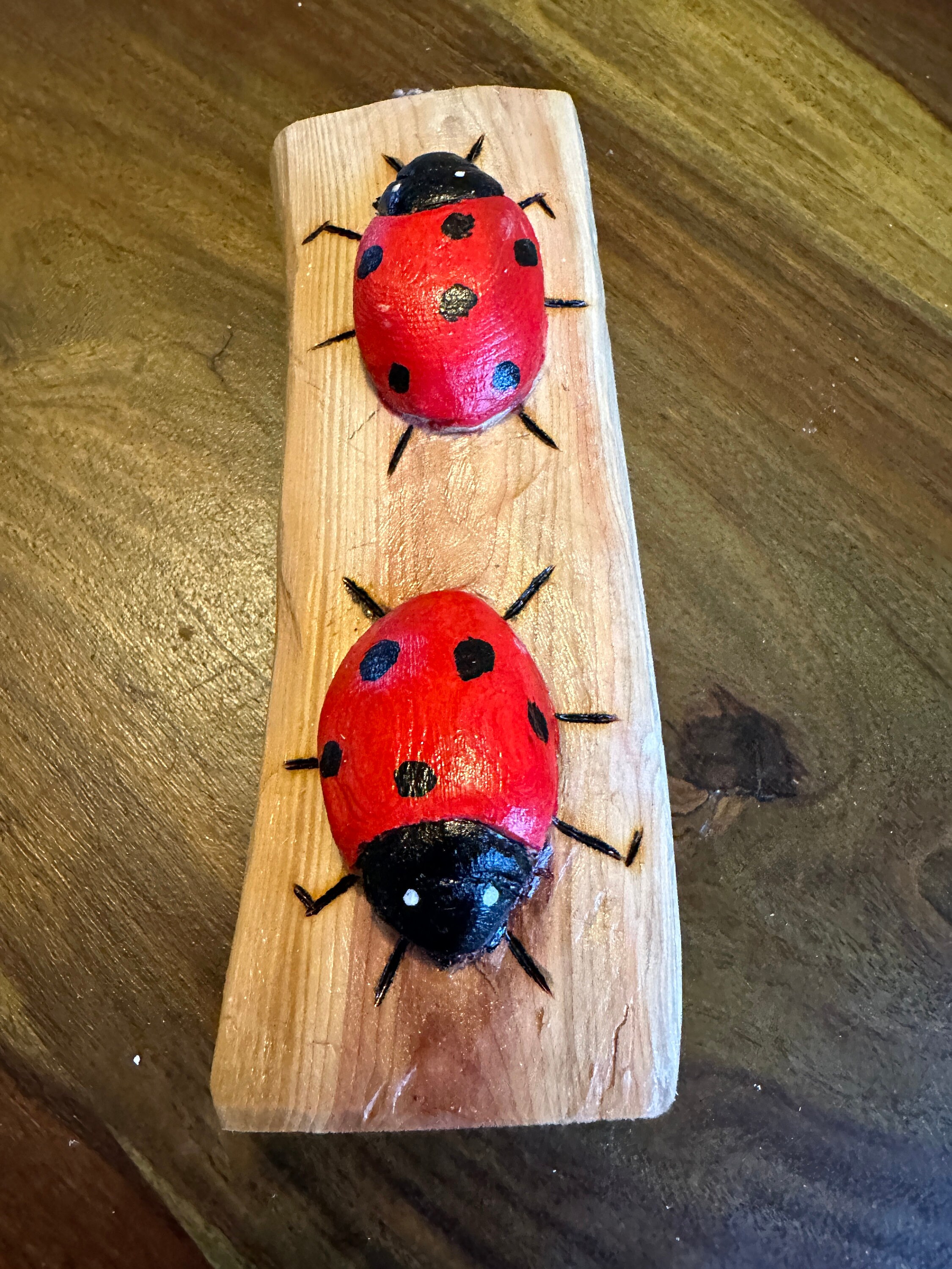 Ladybird Carving, Ladybird, Wood Carving, Wooden Ladybird - Etsy UK