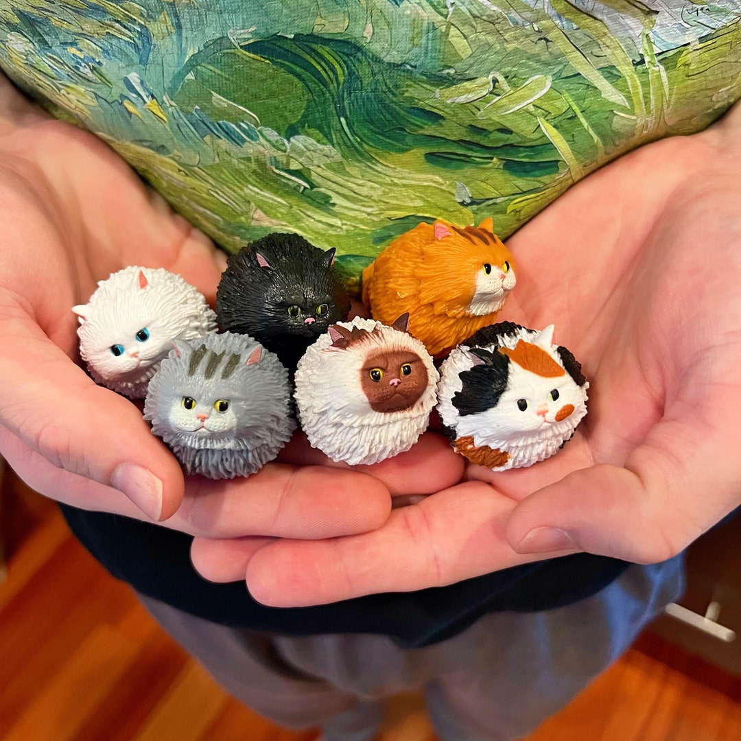Super Cute Cannon Ball Cats, Set of 6 Cats, Come With Gift Box - Etsy