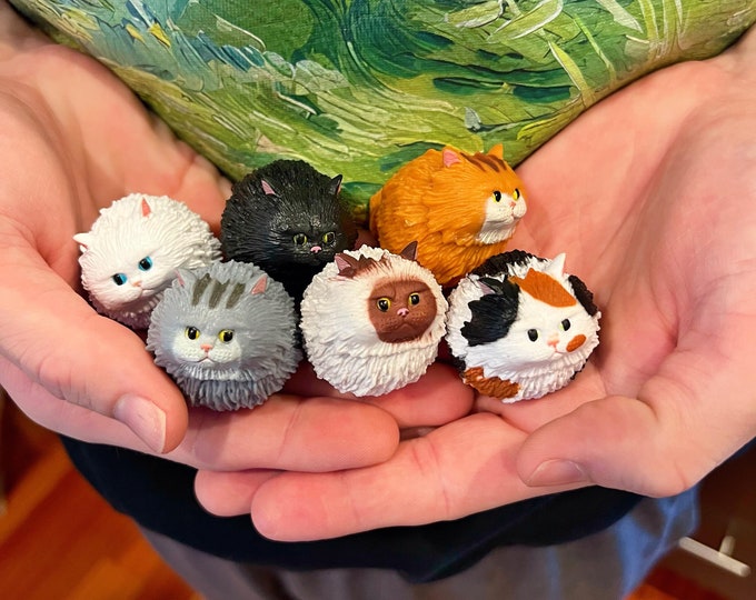 Super Cute Cannon Ball Cats Set of 6 Cats Come With Gift Box - Etsy
