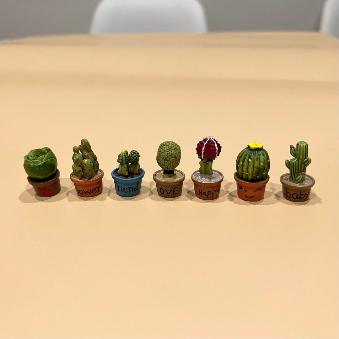 Miniature Succulents, Happy Cactus, Super Cute Cactus Miniatures ...