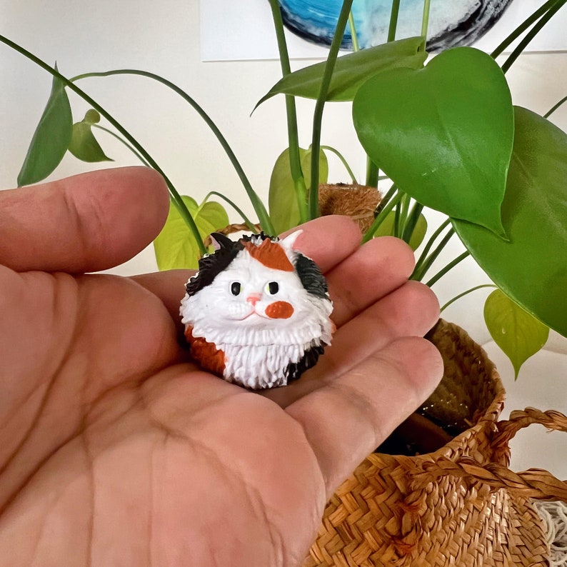 Super Cute Cannon Ball Cats, Set of 6 Cats, Come With Gift Box - Etsy