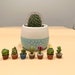 Miniature Succulents, Happy Cactus, Super Cute Cactus Miniatures ...