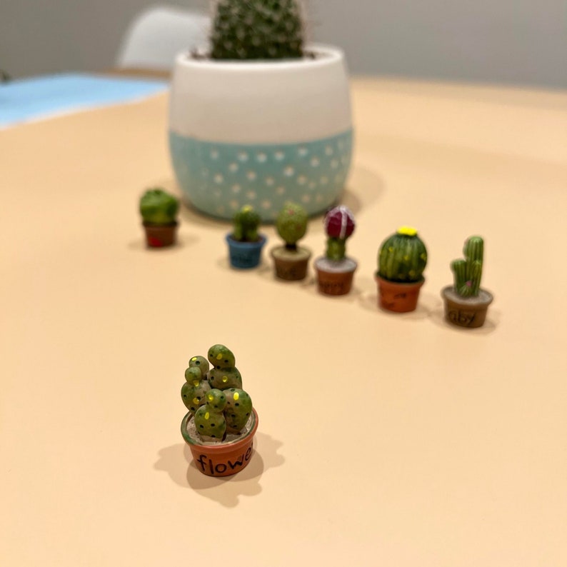 Miniature Succulents, Happy Cactus, Super Cute Cactus Miniatures ...
