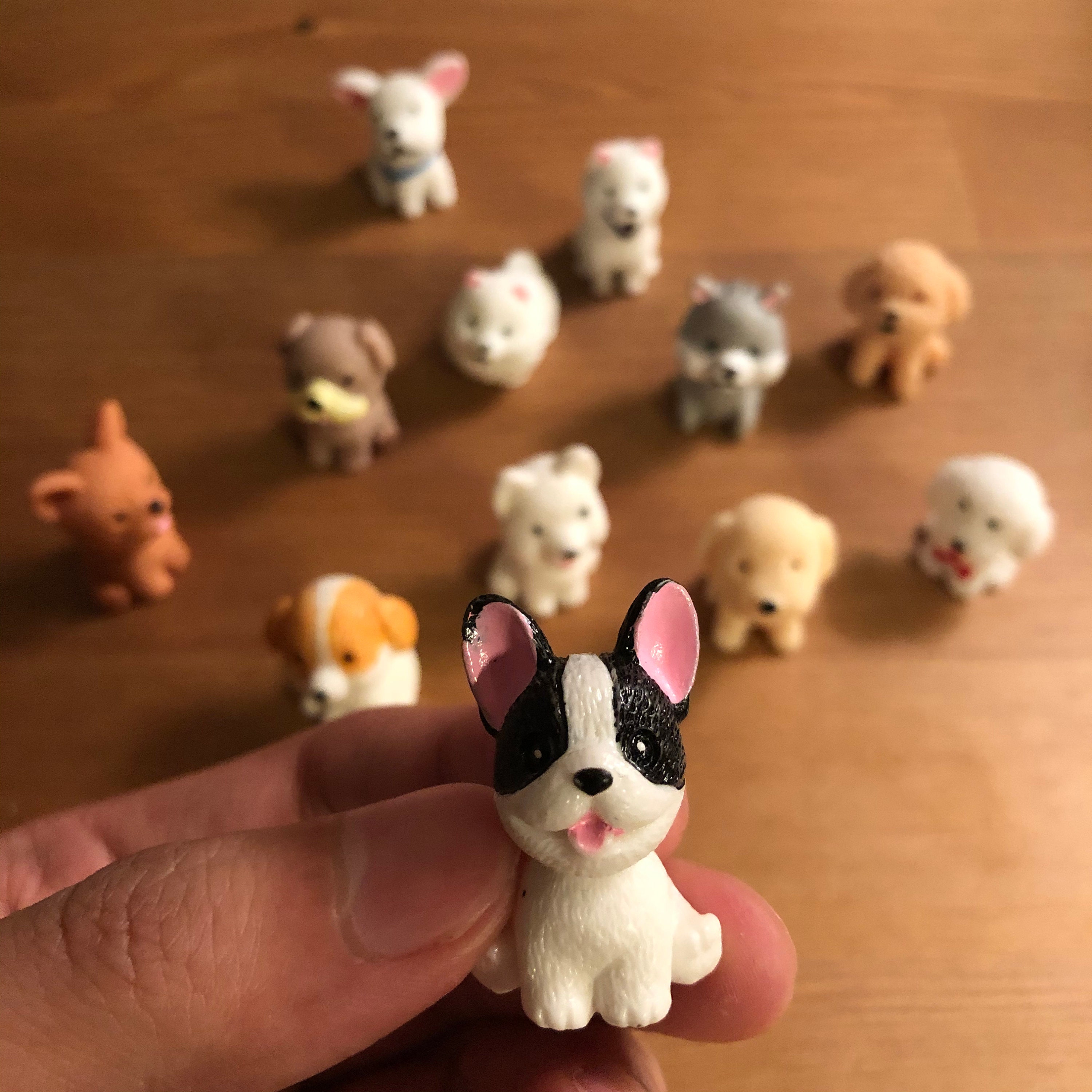 Cute Dog Miniatures Set of 13 Desk Decorations Puppy Resin - Etsy