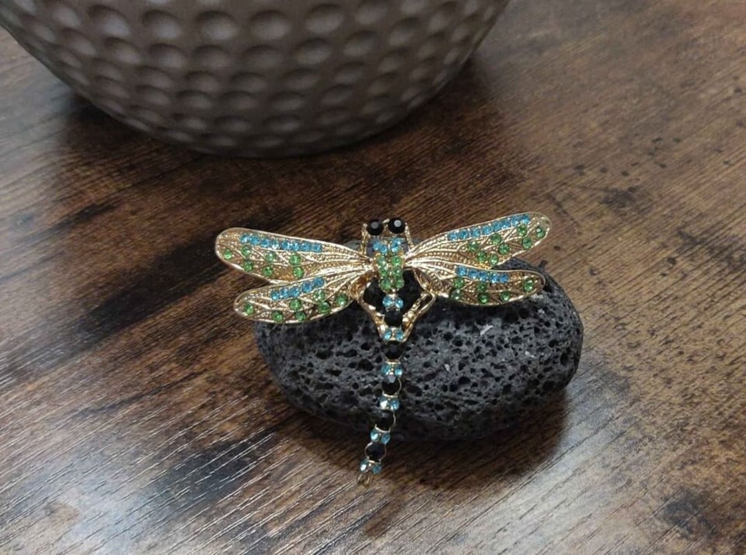 Beautiful Dragonfly Pin With Velvet Pocket, 2" X 2.75" - Etsy