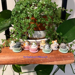 Super Cute Cat Miniatures, Cat Figurines, Teacup Cats, Cat Knick Knacks ...