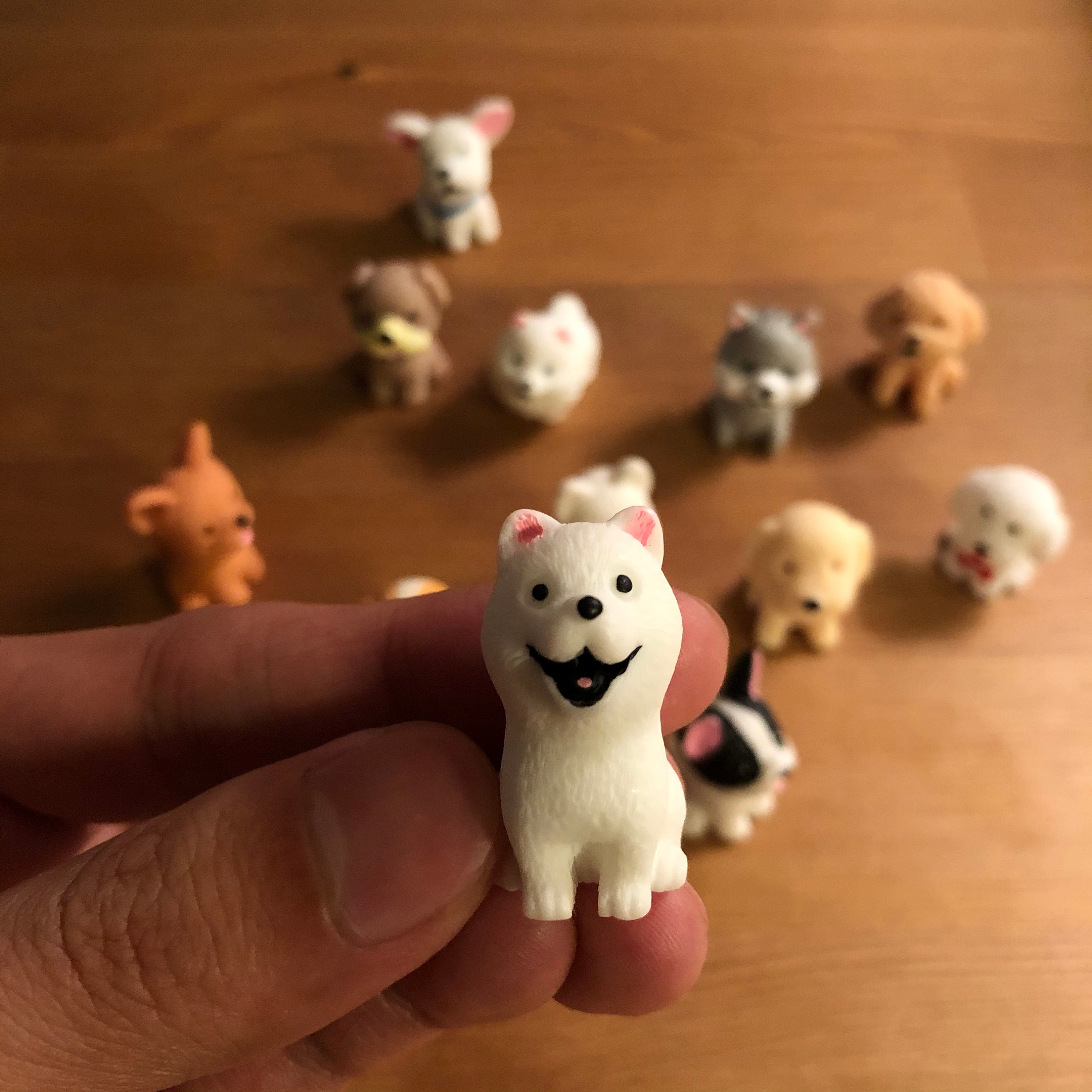 Cute Dog Miniatures Set of 13 Desk Decorations Puppy Resin - Etsy