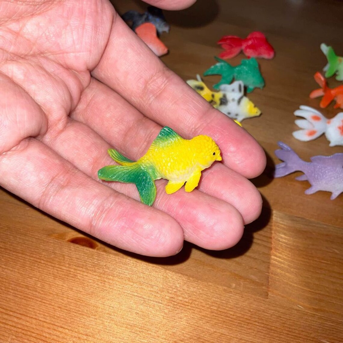 Super Cute Fish Miniatures Set of 12pcs Goldfish Figures - Etsy