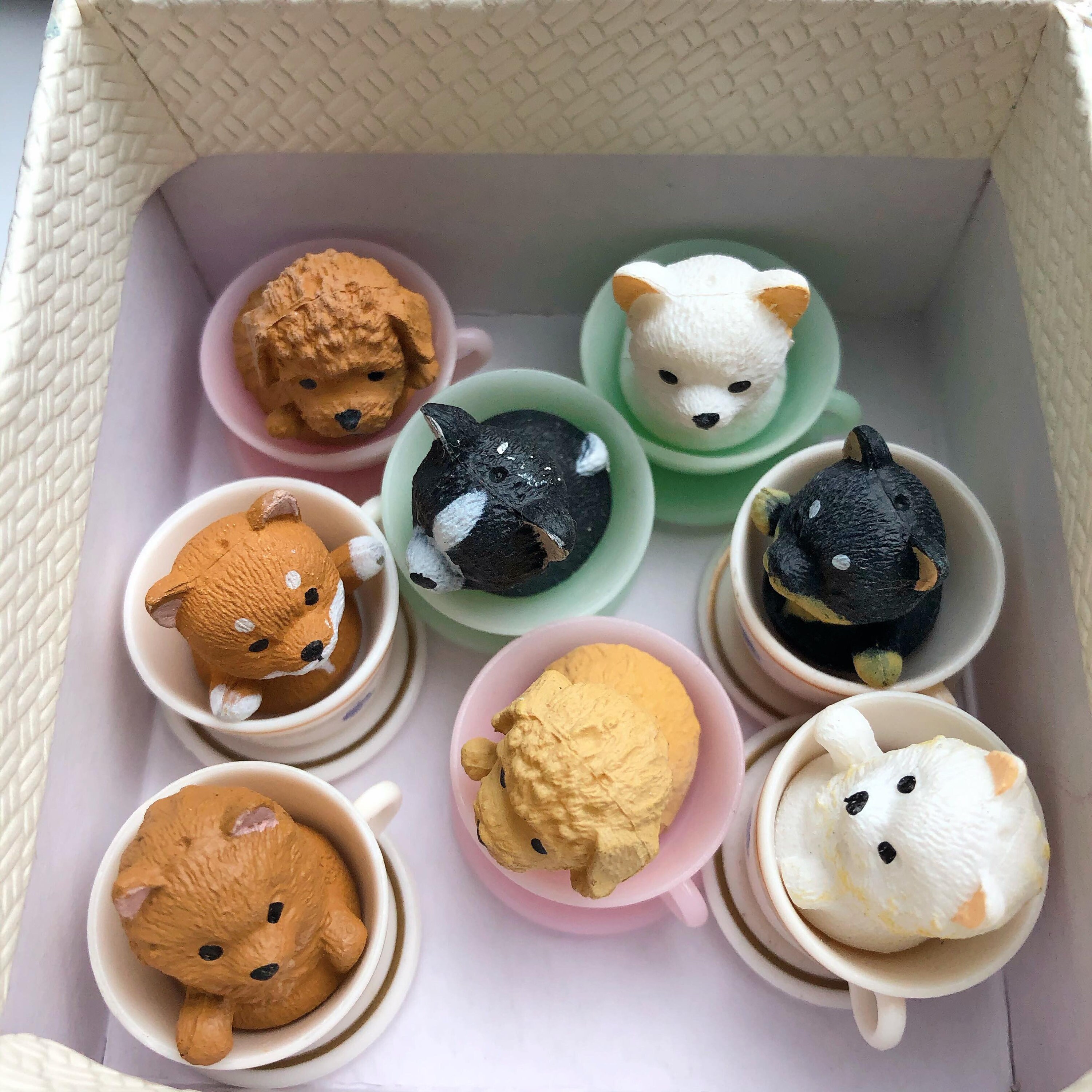 Super Cute Teacup Dog Miniatures Cup Dog Figurines Set of 8 - Etsy