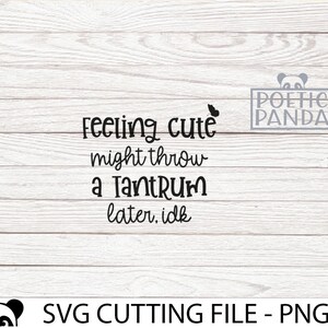 Feeling Cute Might Throw a Tantrum SVG PNG, Mom Life Svg, Newborn Svg ...