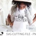 Family Bundle SVG PNG, Big Brother Svg, Big Sister Svg, Little Brother ...