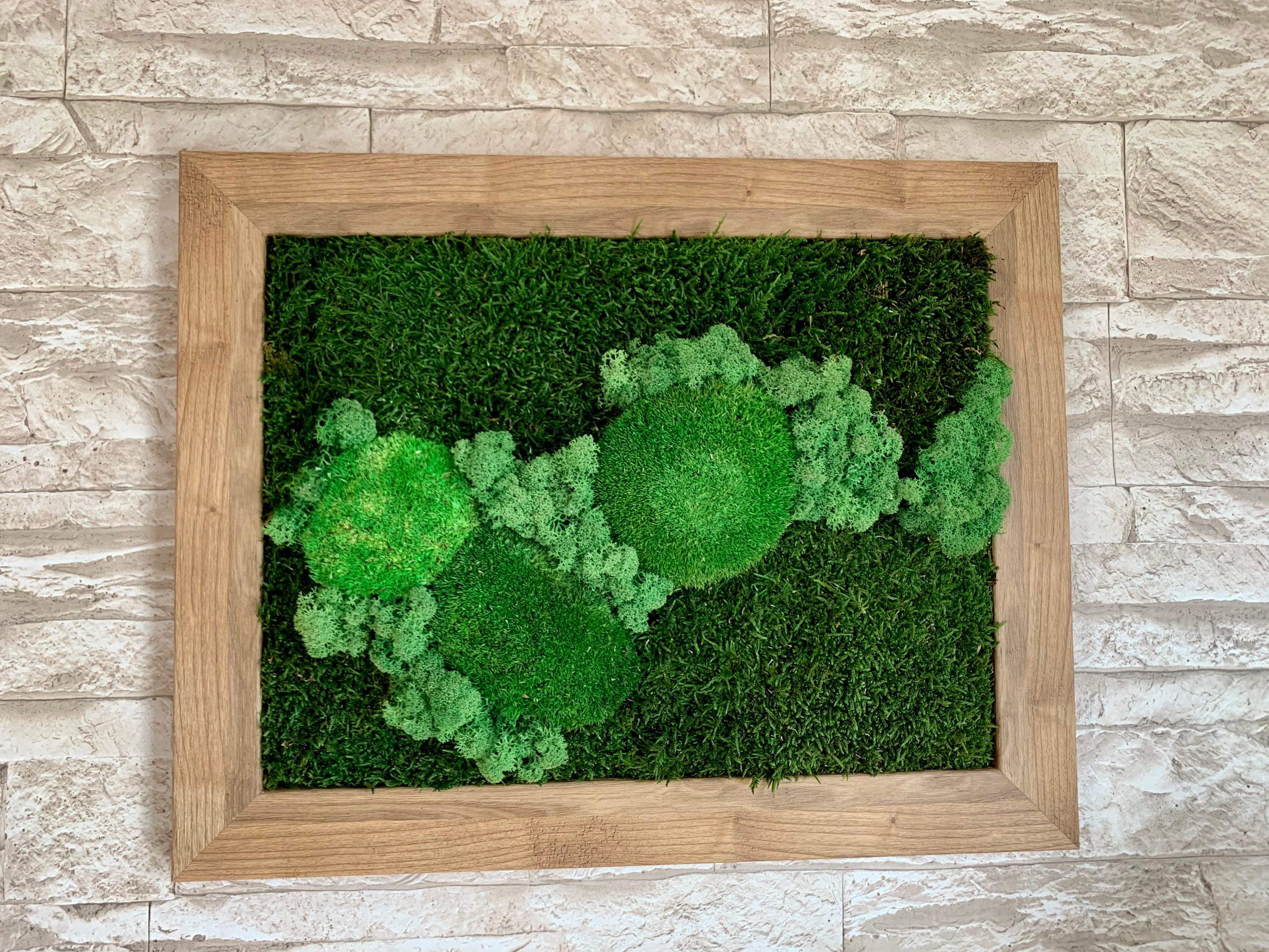 Moosbild Bild Moosbilder Naturbild vertikaler Garten Mosswand | Etsy