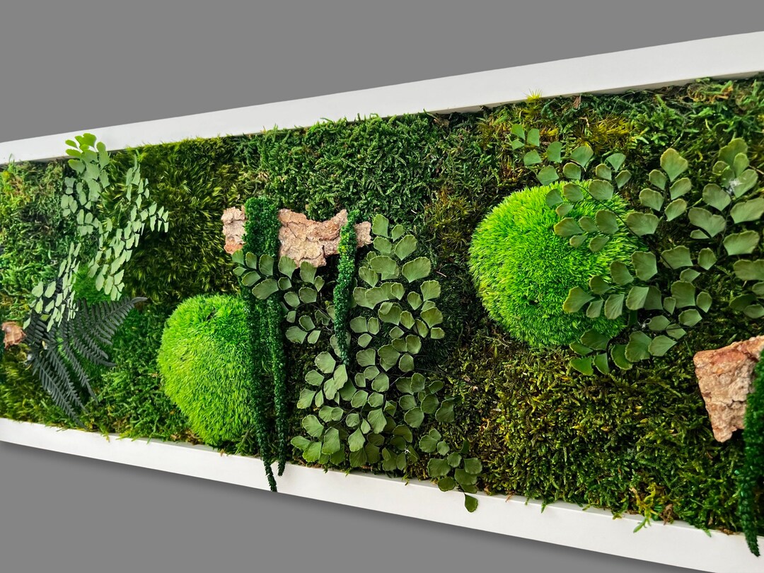 Moss Picture Picture Conserved Pole Moss Mural Wall Design - Etsy