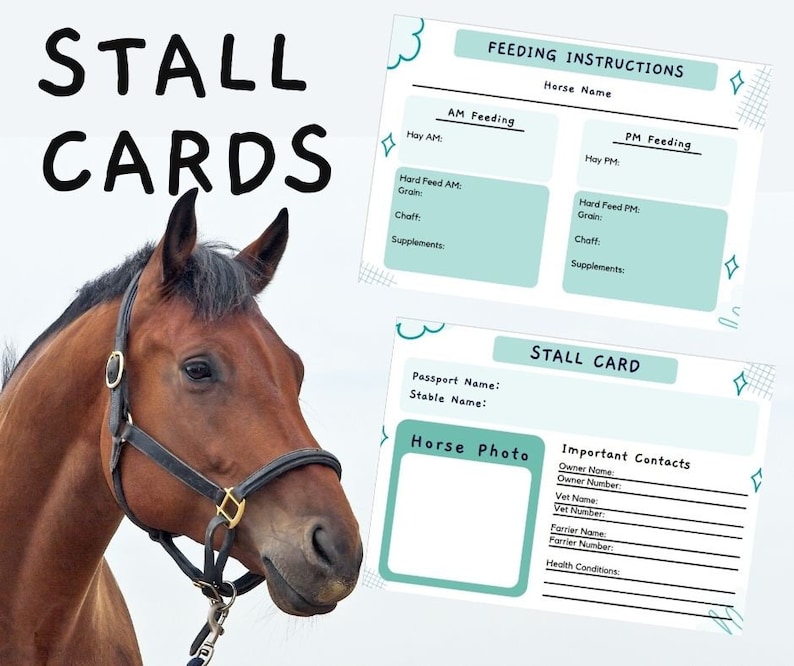 Horse Stall Cards, Stable Cards (digital Download), Horse Organiser ...