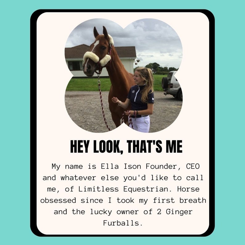 Horse Information Sheet digital Download Horse Organiser - Etsy