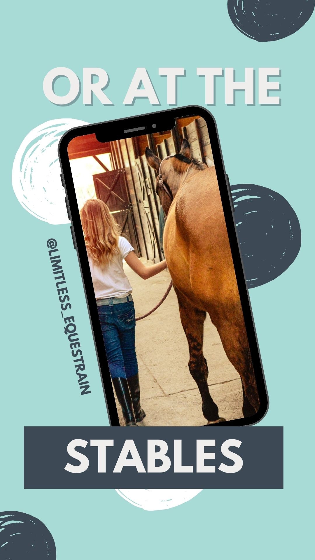 Horse Information Sheet (digital Download), Horse Organiser, Equestrian ...