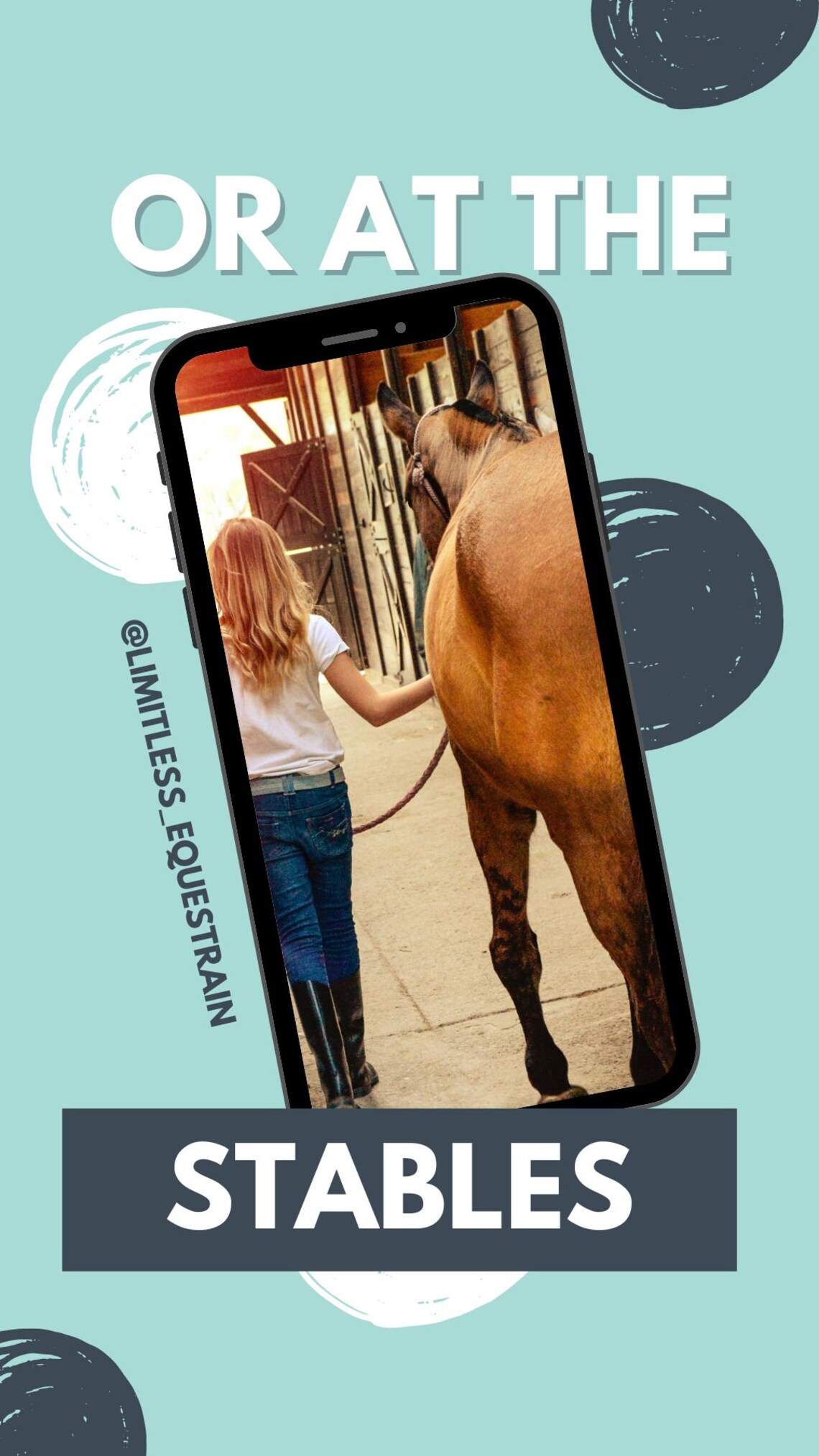 Horse Stall Cards, Stable Cards (digital Download), Horse Organiser ...