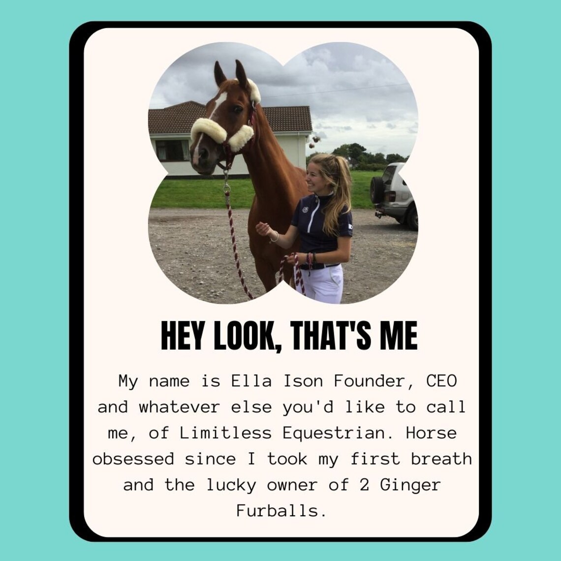 Printable Horse Riding Arena Signs (digital Download), Horse Signs ...
