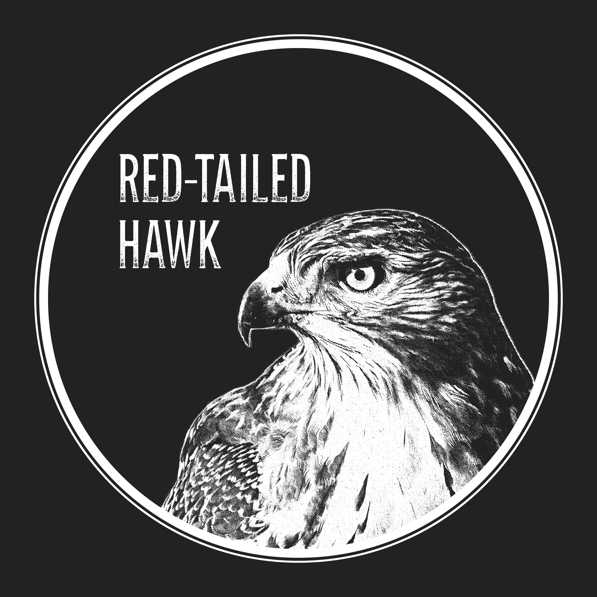 Red-tailed Hawk Raptor Bird T-shirt - Etsy