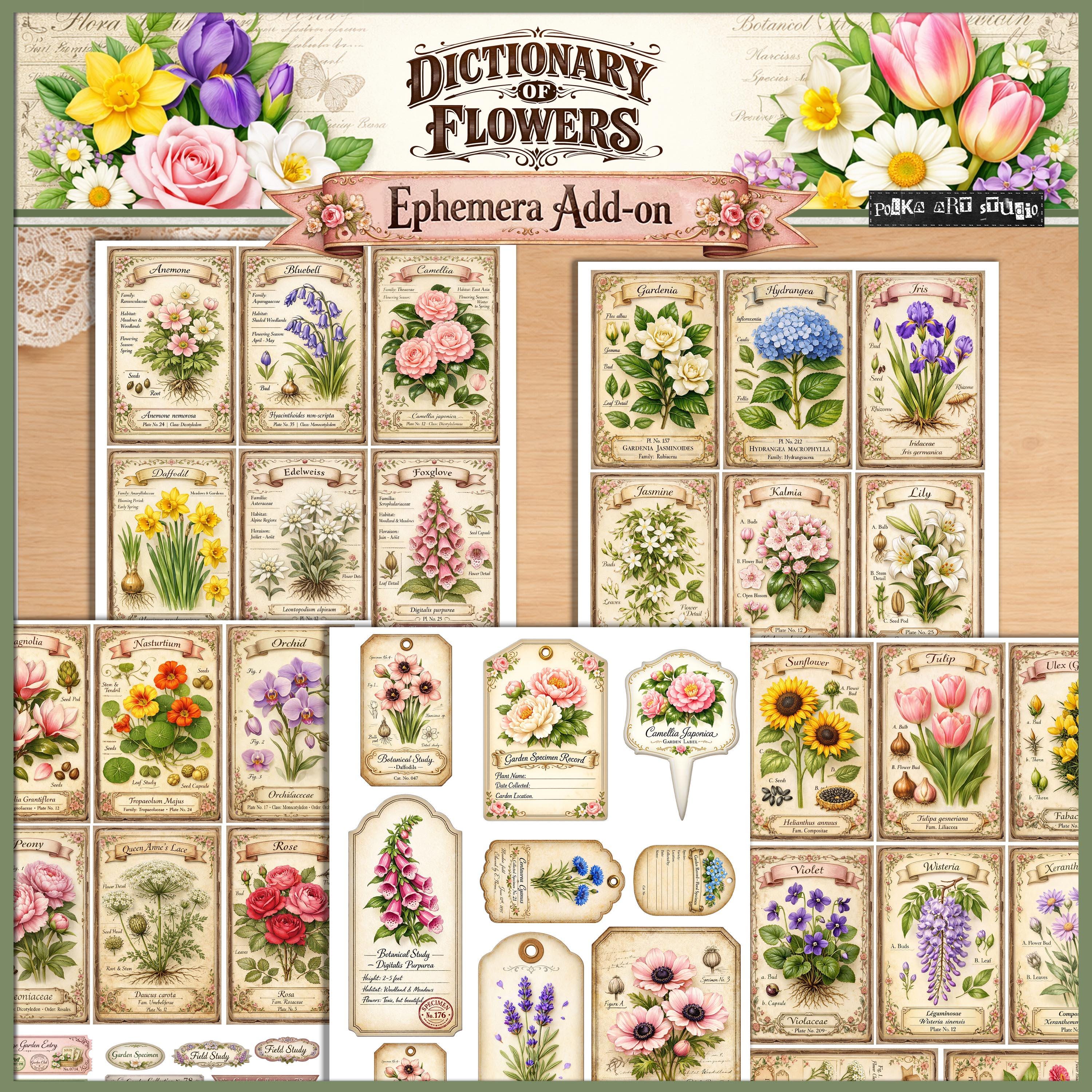 Dictionary of Flowers Ephemera Pack | Botanical Junk Journal Ephemera ...
