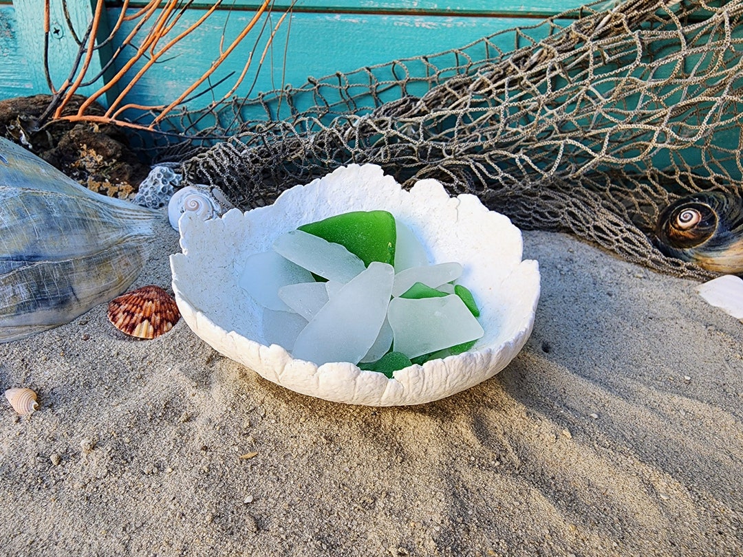 Beautiful Handmade Barnacle Textured Paper Mache Bowl - Etsy