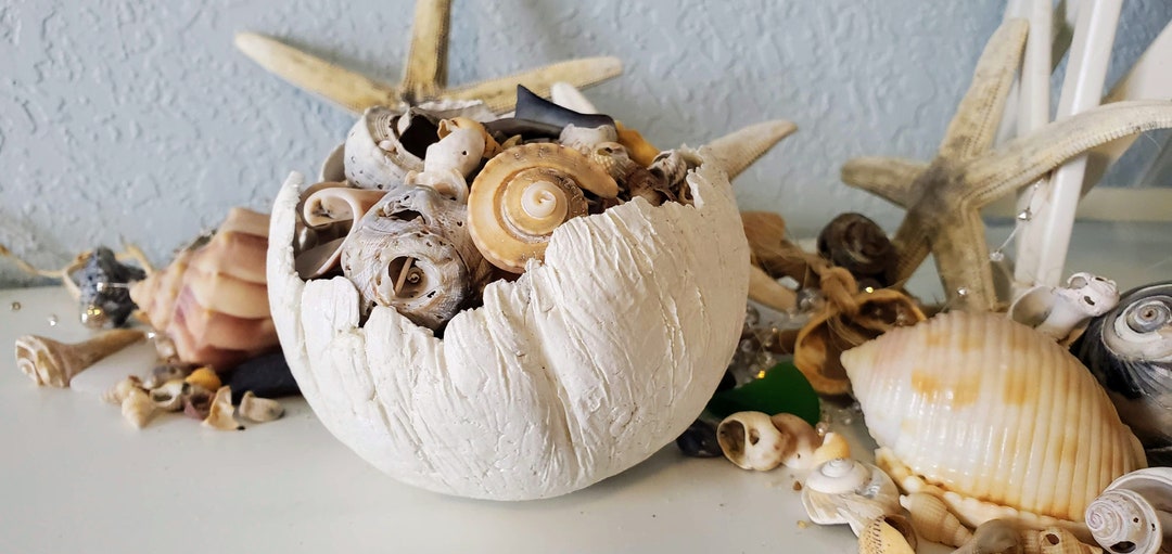 Beautiful Handmade Barnacle Bowl - Etsy