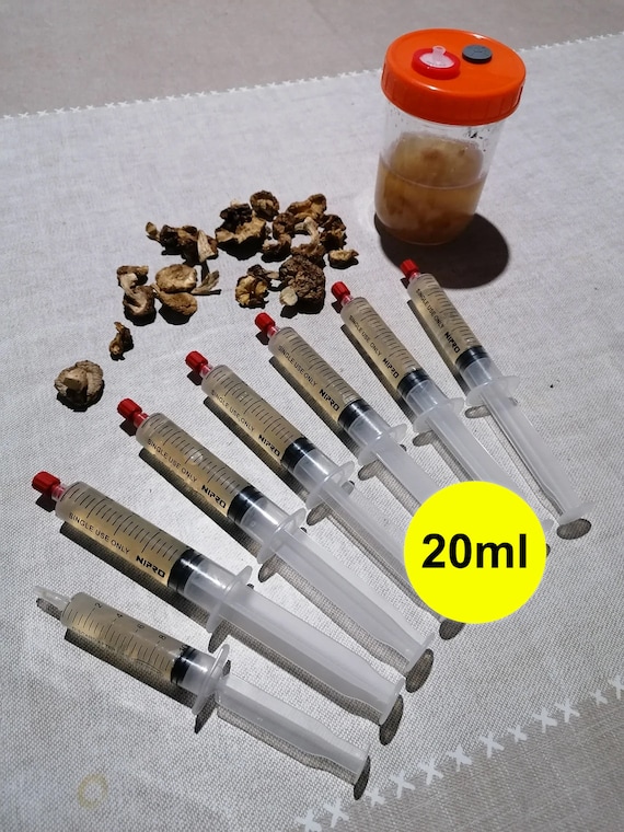 Liquid Culture Mushrooms different Varieties 20ml - Etsy