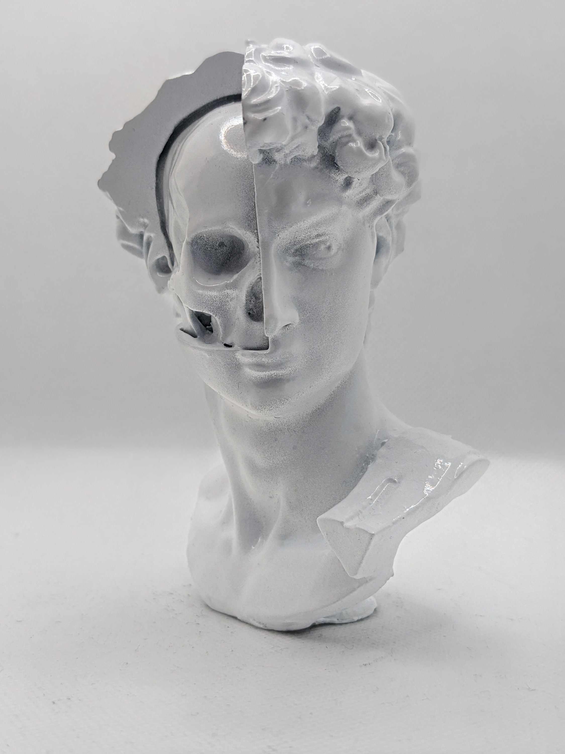 Michelangelo's David Statue Skull Bust Resin Art 3D - Etsy New Zealand