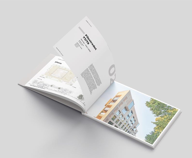 Plantilla de portafolio profesional / Folleto de portafolio de ...