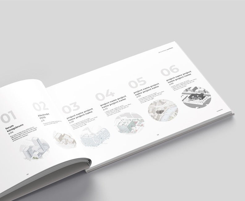 Plantilla de portafolio profesional / Folleto de portafolio de ...