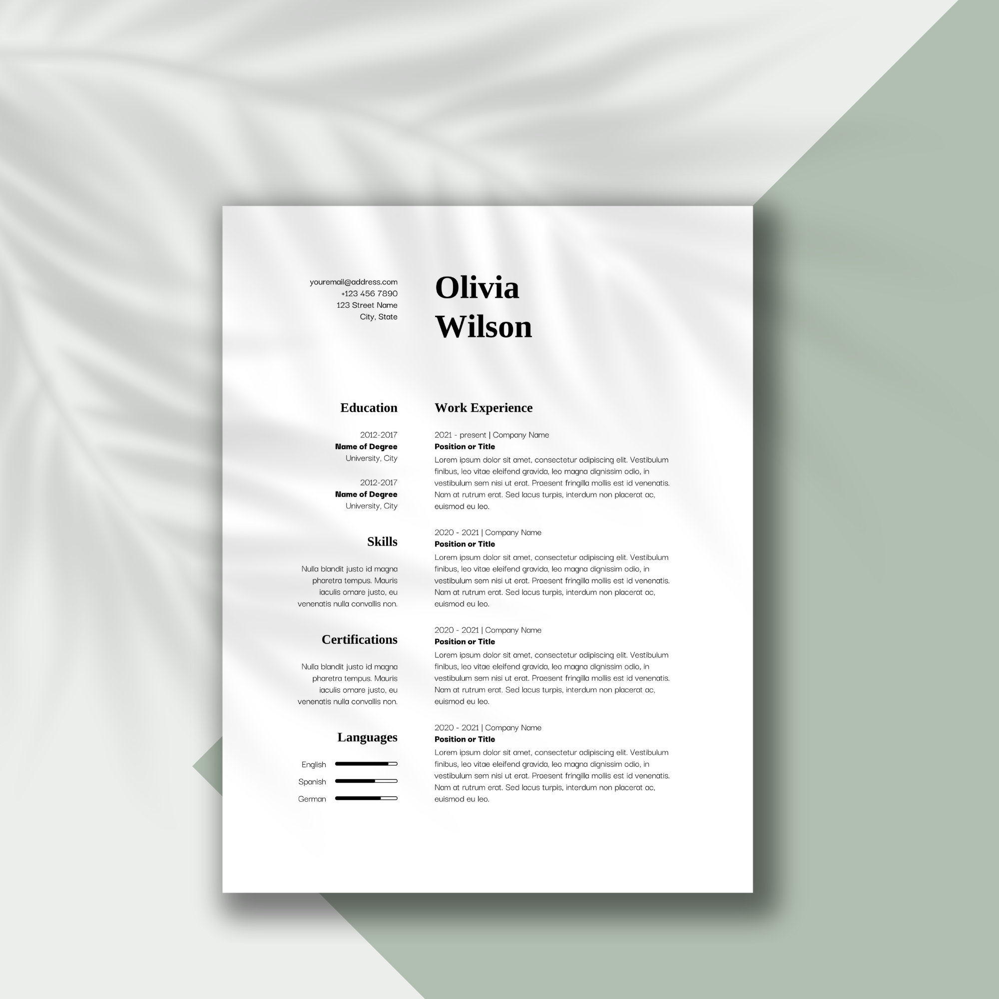 Ats-optimized Resume Template | Two Column Resume Canva Template ...