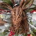 Holiday Wreath With Grapevine Deer Head With Snowy Pine and Frosted Red ...