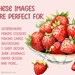 Watercolour Strawberry Clipart,red Fruits PNG Digital Image Downloads ...