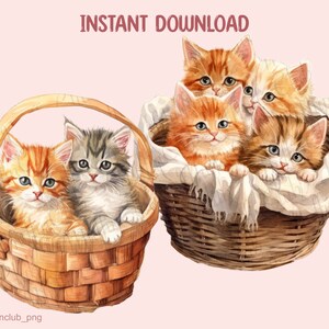 Vintage Cats Clipart, Watercolour Kitten in a Basket Clipart, Cats ...