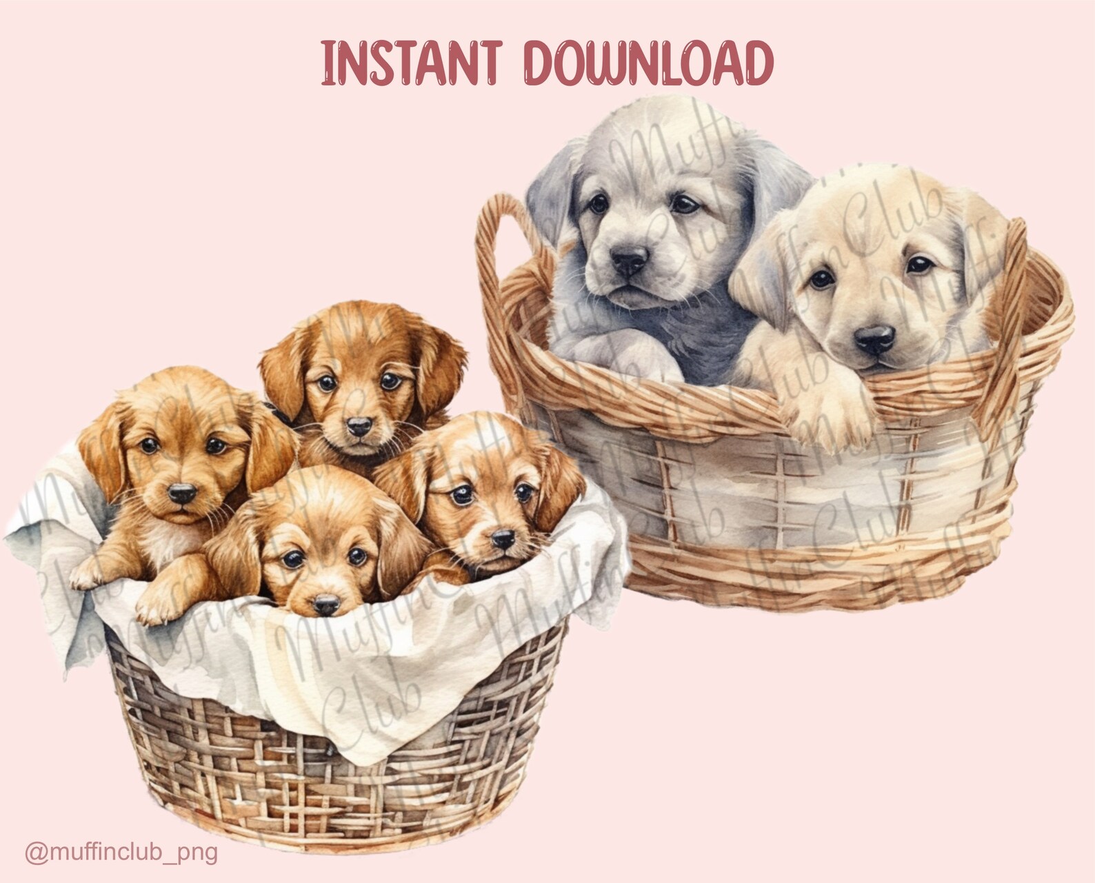 Watercolour Baby Dogs in Basket Puppies Clipart - Dog PNG Digital Image ...