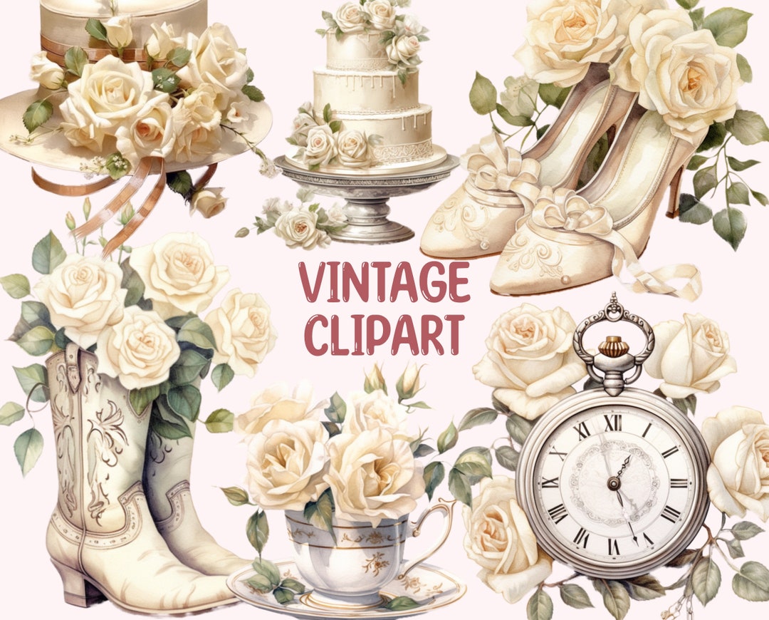 Wedding Watercolour Vintage Ivory Rose Clipart, Vintage PNG Digital ...