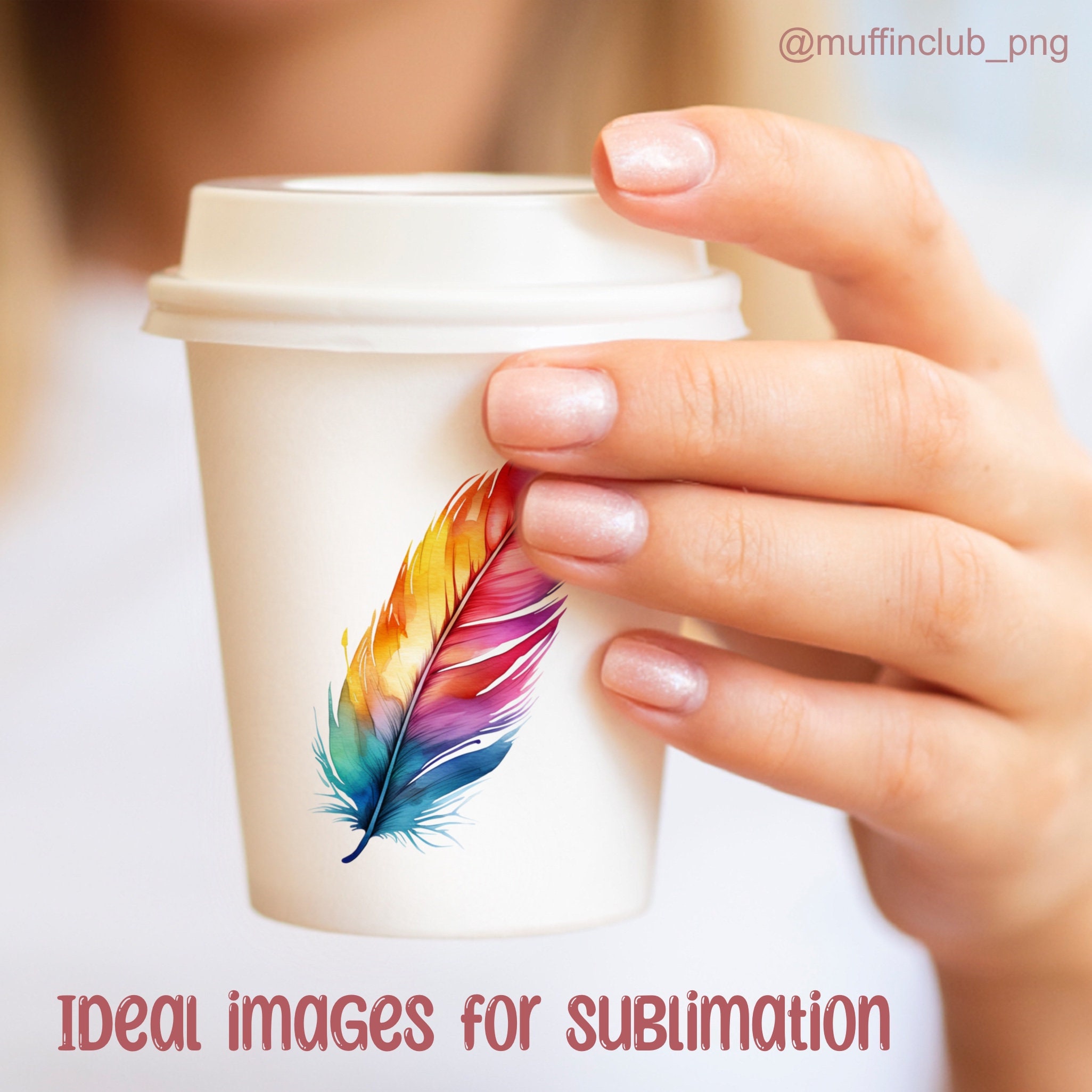 Watercolor Feather Clipart Rainbow Set Digital Scrapbooking Commercial ...