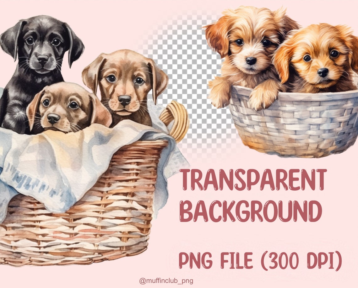 Watercolour Baby Dogs in Basket Puppies Clipart Dog PNG - Etsy