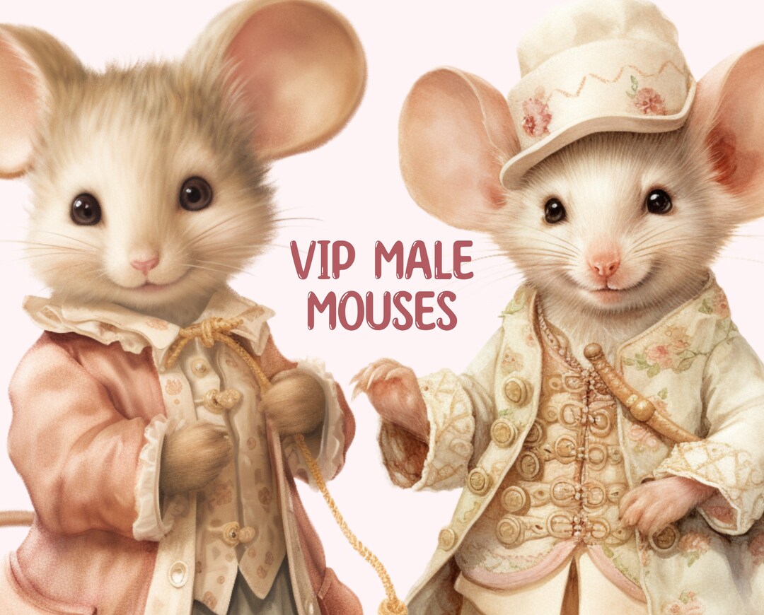 Watercolour Pink Mouse Clipart, Fairytale Mouses PNG Digital Image ...