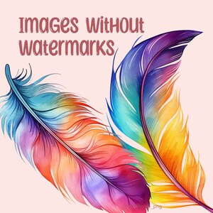 Watercolor Feather Clipart Rainbow Set Digital Scrapbooking Commercial ...